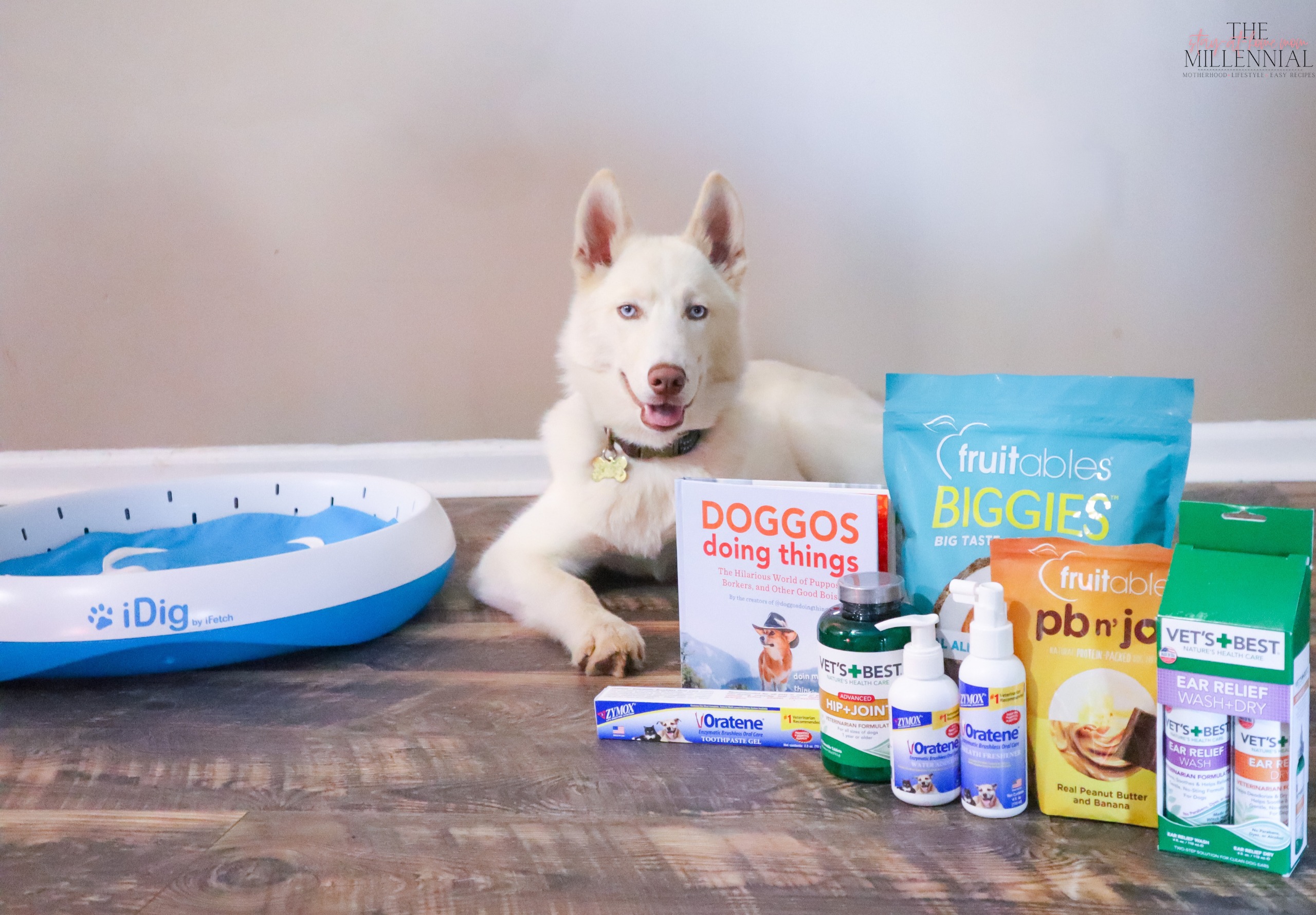 4 Ways To Take Better Care of Your Dog The Millennial Stay-At-Home Mom