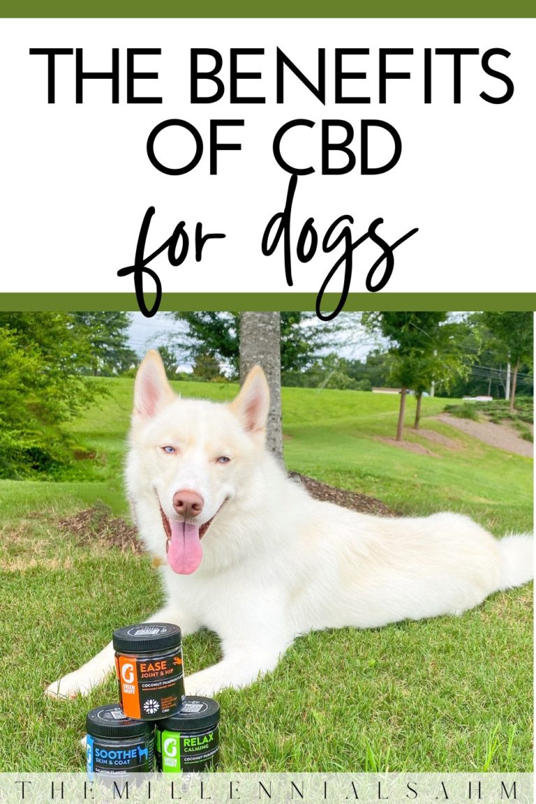The Benefits Of CBD For Dogs - The Millennial Stay-At-Home Mom