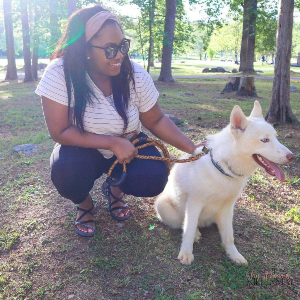 How To Keep Your Siberian Husky Cool During Summer