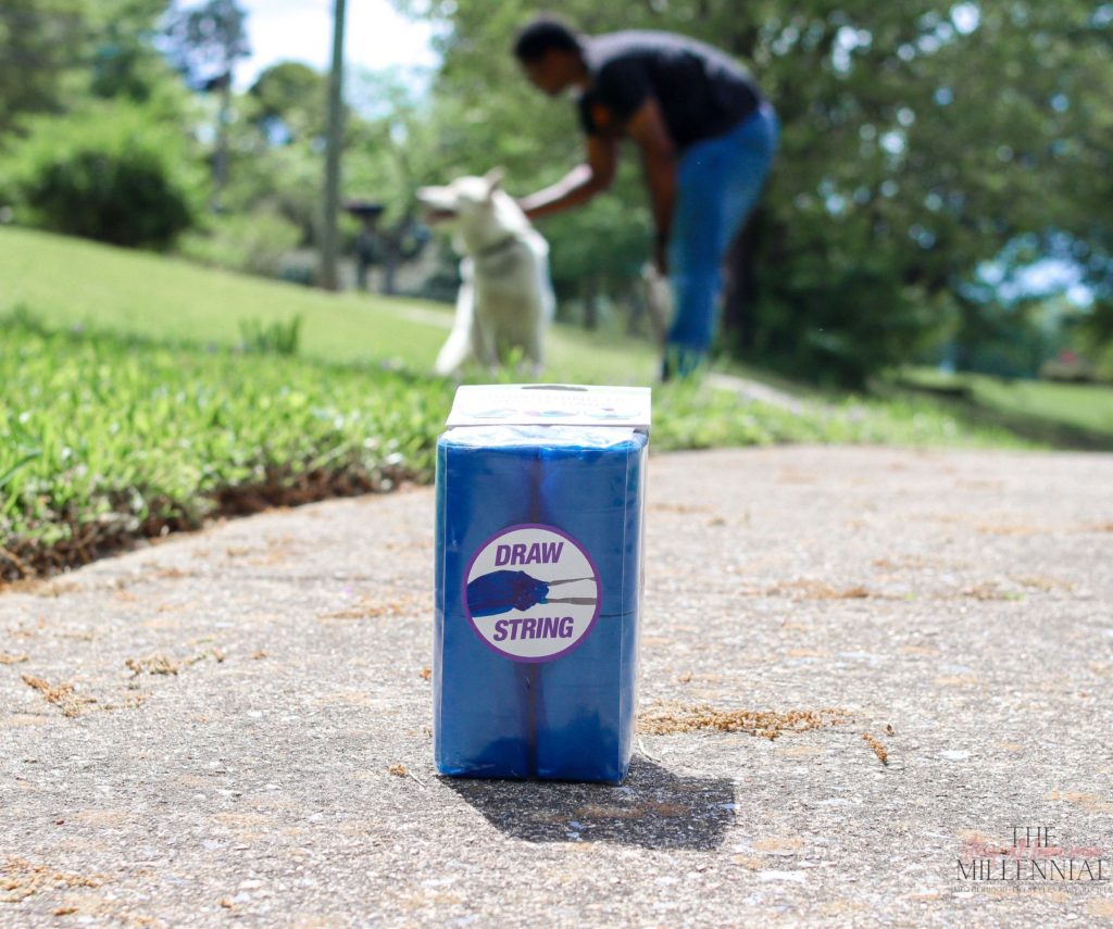 Spring Essentials For Dogs: 8 Must-Have Products - TMSAHM