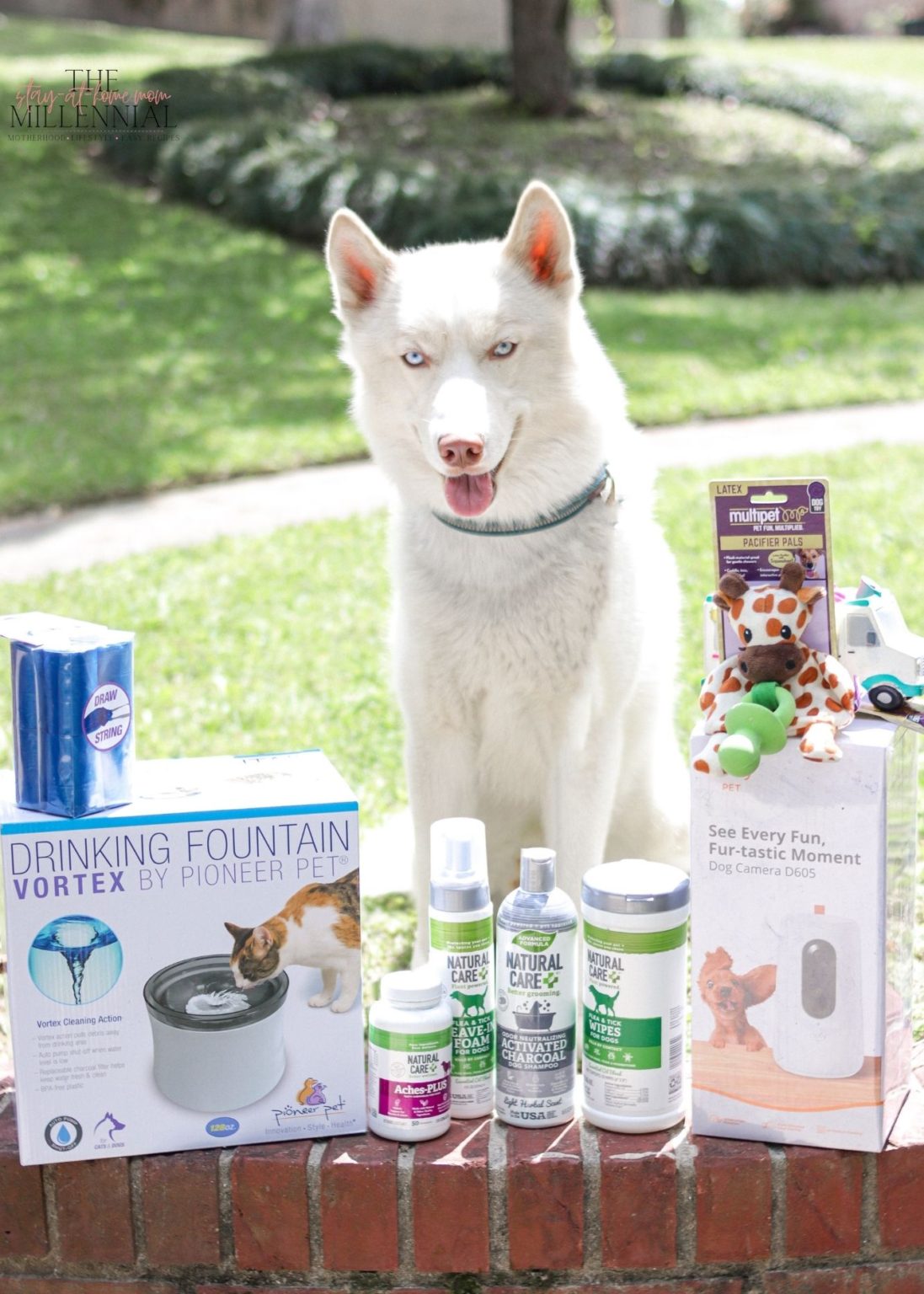 Spring Essentials For Dogs: 8 Must-Have Products - TMSAHM